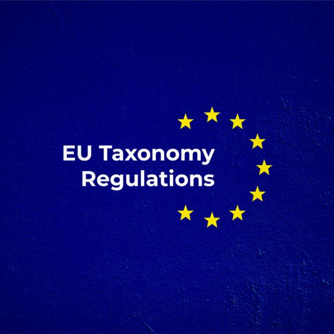 EU Taxonomy explained | Damona | Strategy consulting | Nuclear industry